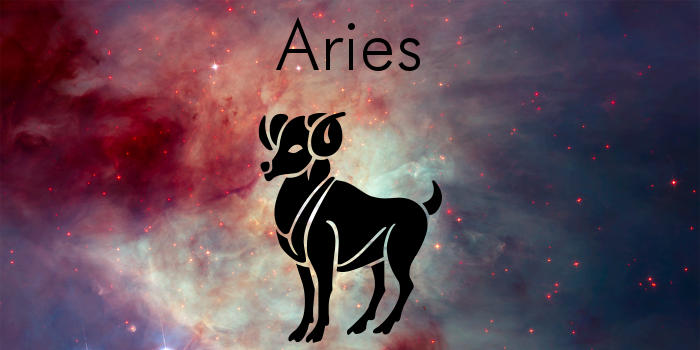 Aries 2019 Annual Forecast | Georgia Nicols
